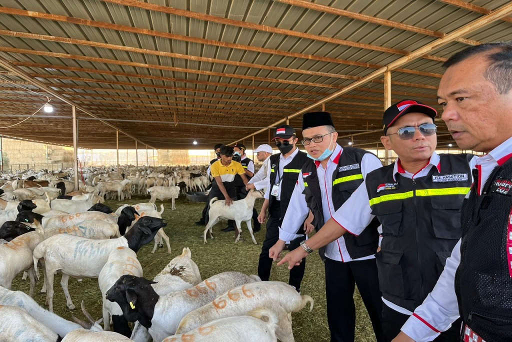 Mengenal Apa Itu Dam Umrah beserta Dalilnya - Hikmah